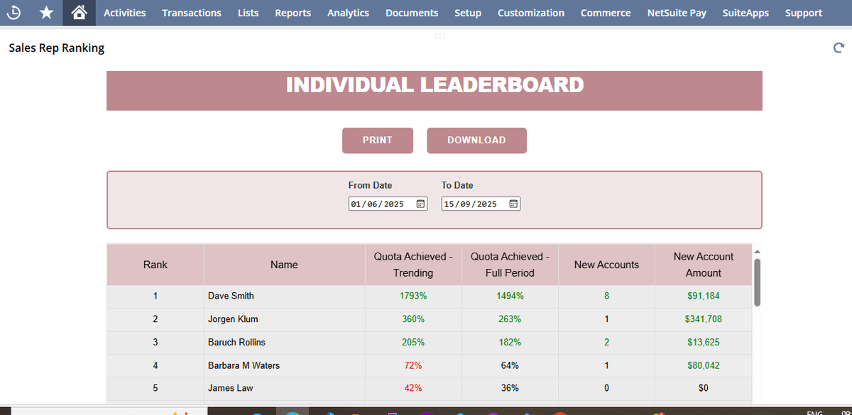 Individual Sales Leaderboard in NetSuite | Jobin & Jismi